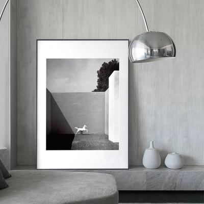 现代极简黑白客厅装饰画小众艺术建筑书房白马建筑摄影挂画
