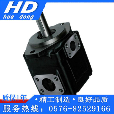 DENISON丹尼逊T6E-042 045 050 052 057-1R011R02-A1 B1 C1叶片泵