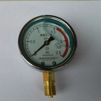 60mm 无锡惠华耐震压力表 压力25mpa YTN60 025mpa m14x15