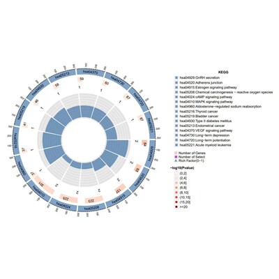 R语言代码Rstudio绘图SCI科研生信医学桑基热图数据分析作图教程