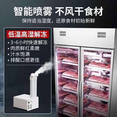 盛格美解冻柜商用低温高湿解冻机海鲜牛羊猪鸡鸭冻肉化冻保鲜冰箱