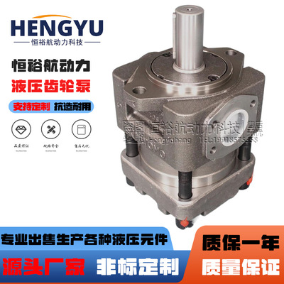 日本住友SUMITOMO齿轮泵QT52-40F-A液压泵 QT52-63F-BP压力油泵