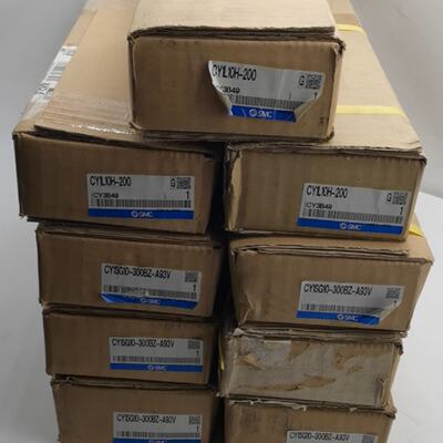 CY1L10H200 CY1SG10300BZA93V拍前询价下单