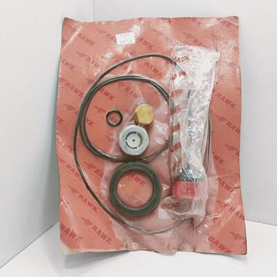 1.905706.0 HAWK CRANKCASE SEAL KIT FAST SHIP BY DHLFEDEX