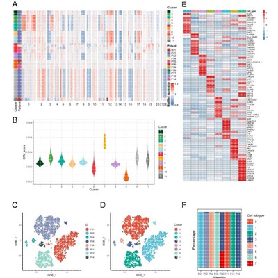 单细胞测序分析 单细胞转录组 infercnv转录因子分析 GSVA SCENIC