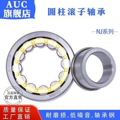 圆柱滚子轴承NJ416 417 418 419 420 422 424 426 428EM