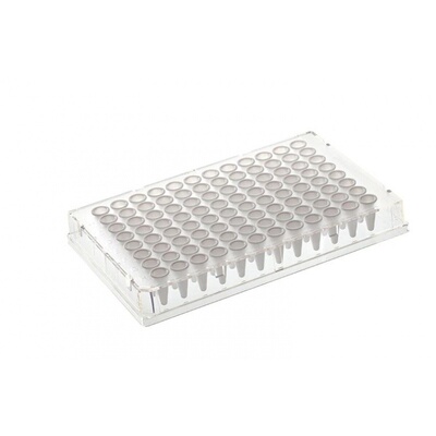 热卖Thermo 96 孔透明透明孔Scientific  Armadillo PCR 板AB2396