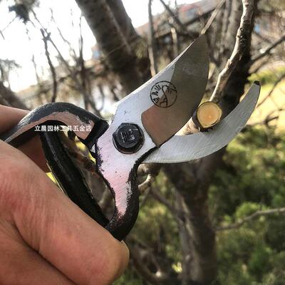老式剪铁匠锻打土枝剪望小儿果树剪刀修枝剪园艺YNT刀修树枝古董