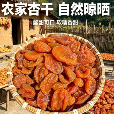 酸杏条杏干红杏条农家酸甜无核果休闲 零食自然晾晒杏脯果脯杏肉