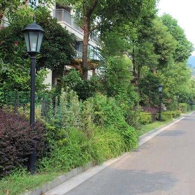 景观庭院灯LED路灯户外庭院2.5米3.5米ledled超亮