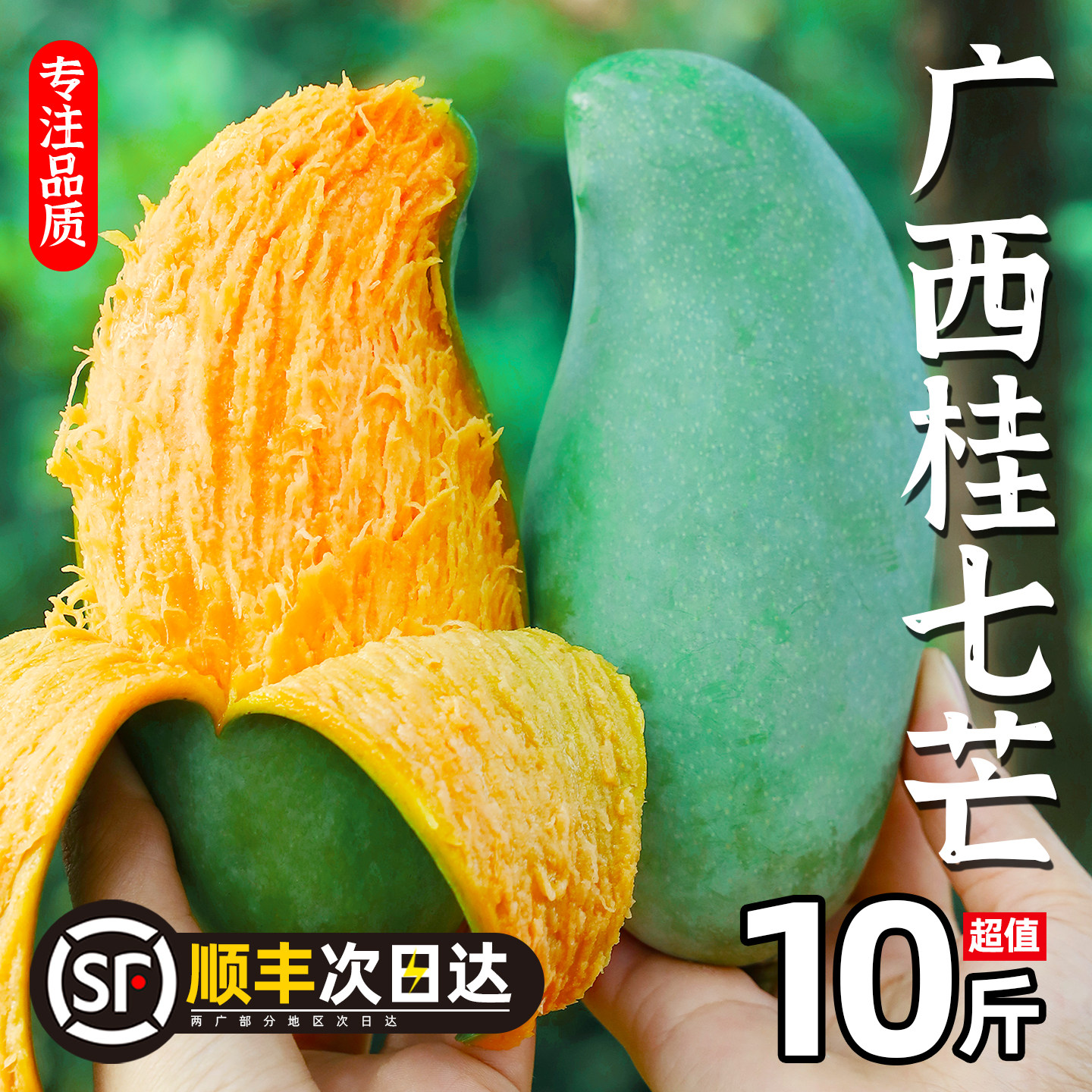 广西百色桂七芒果新鲜水果正宗青皮香芒10斤礼盒特大果王顺丰包邮