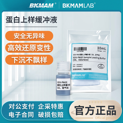 比克曼生物蛋白上样缓冲液