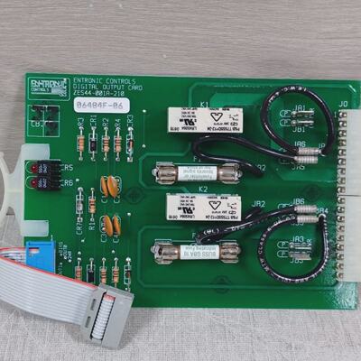 ENTRONIC CONTROLS ZE544001A210 Digital Output Card New witho