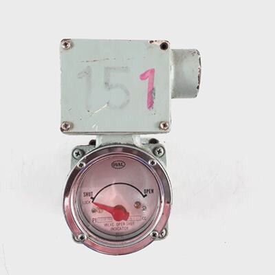 Indicateur DOuvertureFermeture De Soupape Ovale PI45B10 8143