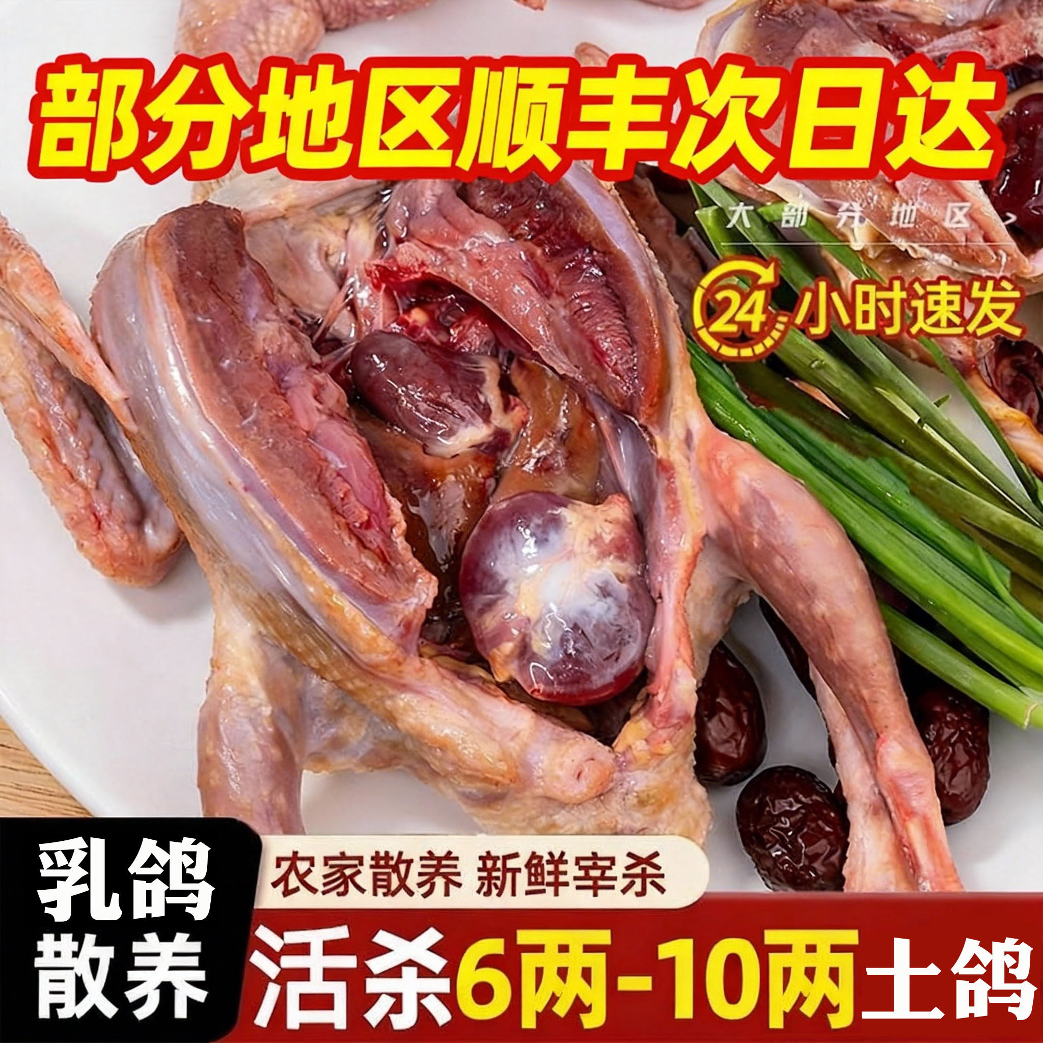 农家散养鸽子新鲜现杀鸽子肉老鸽子土鸽子鲜活乳鸽炖汤煲汤生鲜