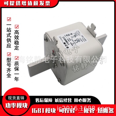 170M6812D 170M6813D 170M6814D巴斯曼熔断器型号齐全