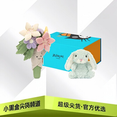 JELLYCAT 心意所至礼盒 手捧花兔子 毛绒玩偶 公仔礼物 BUN260885