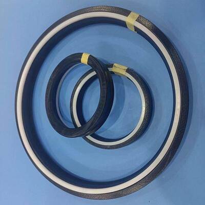 TSE/SEG进口TECNOLAN高压油封28*36*6.4 32*40*9 36*48夹布密封圈