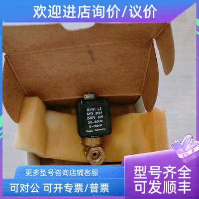 议价RAPA电磁阀BV01 L2 230V