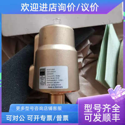 议价GSR电磁阀角座阀燃气阀E50231001.012HA?总