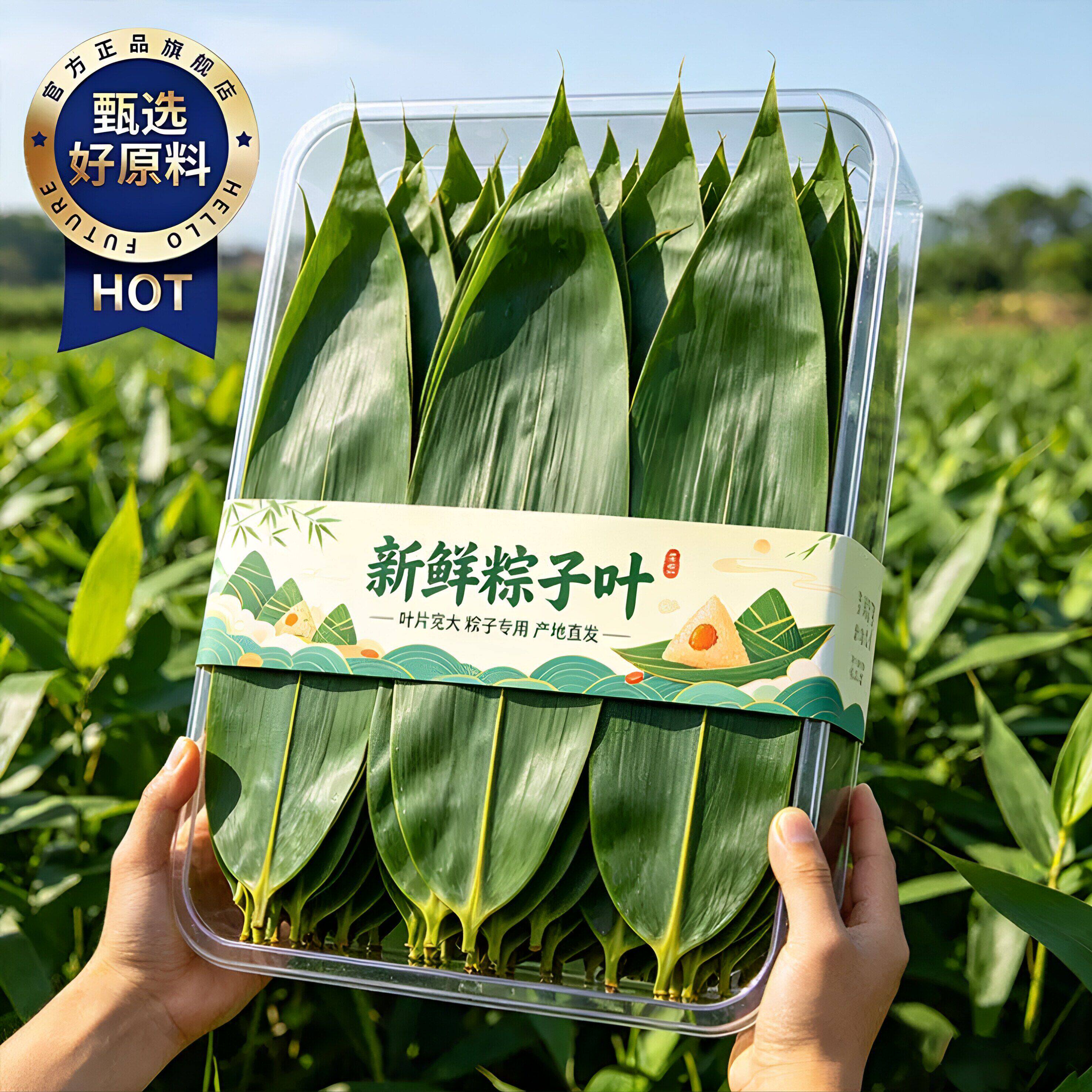 【端午节专用】粽叶新鲜粽子叶大号包粽子特大号野生粽叶商用批发