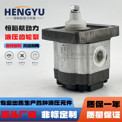 罗茨液压泵RONZIO齿轮泵01ZAG11C401D 01ZAG32C442D 01ZCG42N600D