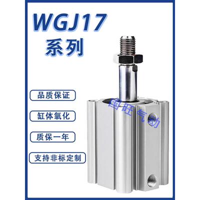 气缸WGJ05/06/16/17-32/40/50/63-10 15 20 25 30 35 45 60-Y/N-2