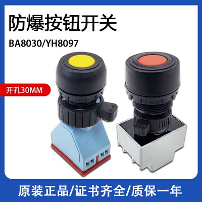 防爆按钮开关盒配件BA8030 YH8097内部芯子防爆微动开关220V 380V