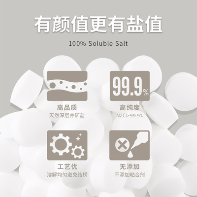 DeLnge德朗洁食品级原料软水盐软化盐软水机软化水专用盐G