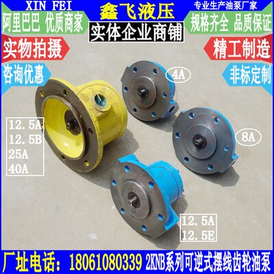 2KNB-12.5A 4A 8A双向摆线润滑油泵TOP-2RA-4C 8C 12C VF减速机泵