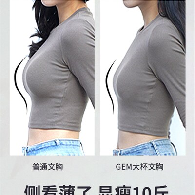 GEM轻塑内衣女大胸显小全罩杯提拉防下垂收副乳透气显Y瘦百搭文胸