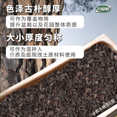花彩师园艺发酵松鳞树皮有机覆盖物花园庭院盆栽植物兰科木本通用