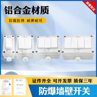 防爆墙壁开关BQK-1K2K3K4K防爆照明开关SW-10单开双开单双联开关