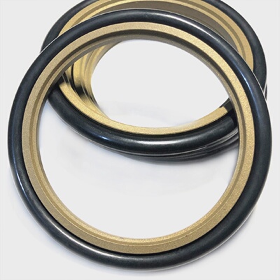 斯特封GSR/STd170*185.5*191/175*190.5/180*195.5 *201*6.3*8.1