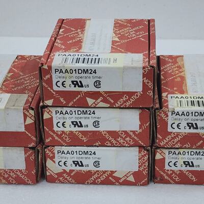 Carlo Gavazzi PAA01DM24 Retardado En Operado Temporizador PA