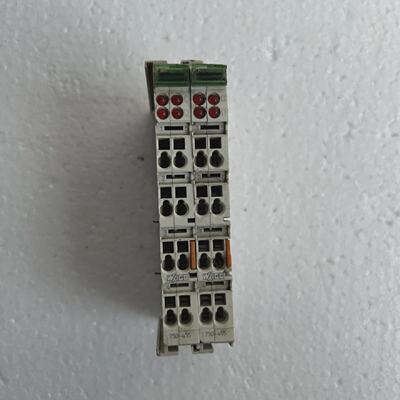 Wago 750455 750455 Satz Von 2 Analoger Eingangsmodul