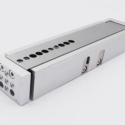 Festo DGSL16100P1A 543997 MiniSchlitten DGSL  mini slide DGS