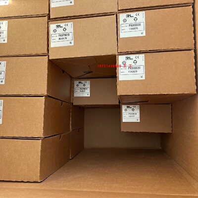 议价美国红狮仪表PAXS0000/PAXT0000控制器PAXCDL10