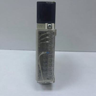 Schneider TSXDSY08R5 Output Module TSXDSY08R5