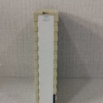 1C31164G02 REV 05 RTD INPUT MODULE