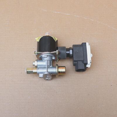 SUNFLAME VSKX125N DO Pumpe Mit Absperrventil 100V 3