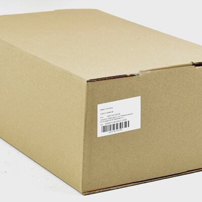 Jumo ecoLine Ci LeitfhigkeitsTemperatursensor 20294310168000