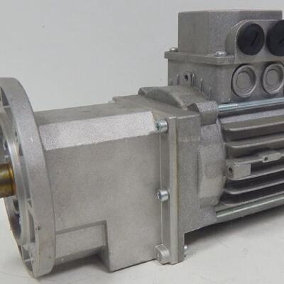Lenze MDSMAXX06302C0C Motor  GST032MVCK063C02 Getriebe I1901