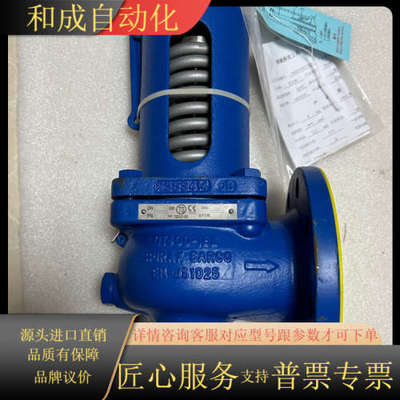 斯派莎克安全阀，参数：SV607DS 球墨铸铁 DN50 P
