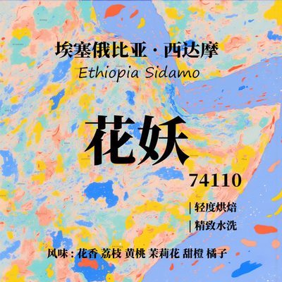 埃塞西达摩精致水洗74110花妖