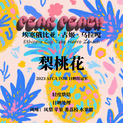 2023AFCATOH日晒组冠军咖啡豆