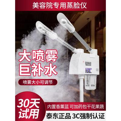 泰东冷热喷雾机美容仪美容院专用打开毛孔补水冷热双喷雾机蒸脸仪