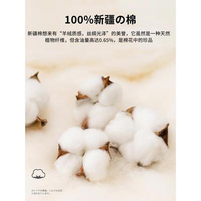 疆棉花床垫家用软生垫卧厚榻YXA-55榻米宿舍学单人租新房专用室床