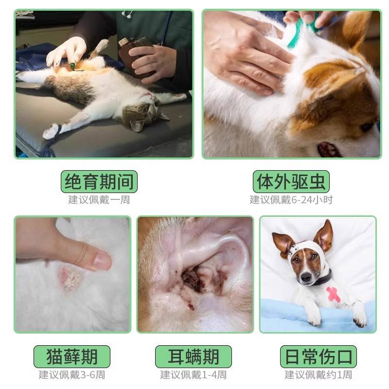 伊丽莎白圈宠物头套狗圈猫圈狗脖套宠物防咬打针圈过功能宠物头罩