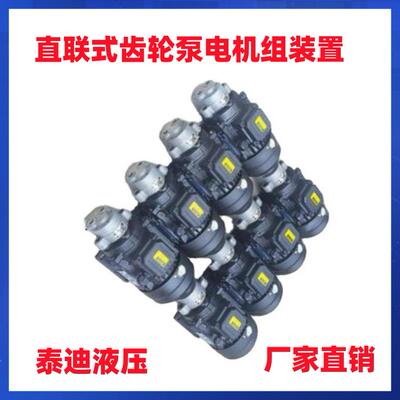 ZBZ-6直联式齿轮泵电机组 试压泵液压泵电机装置 配电机0.37KW